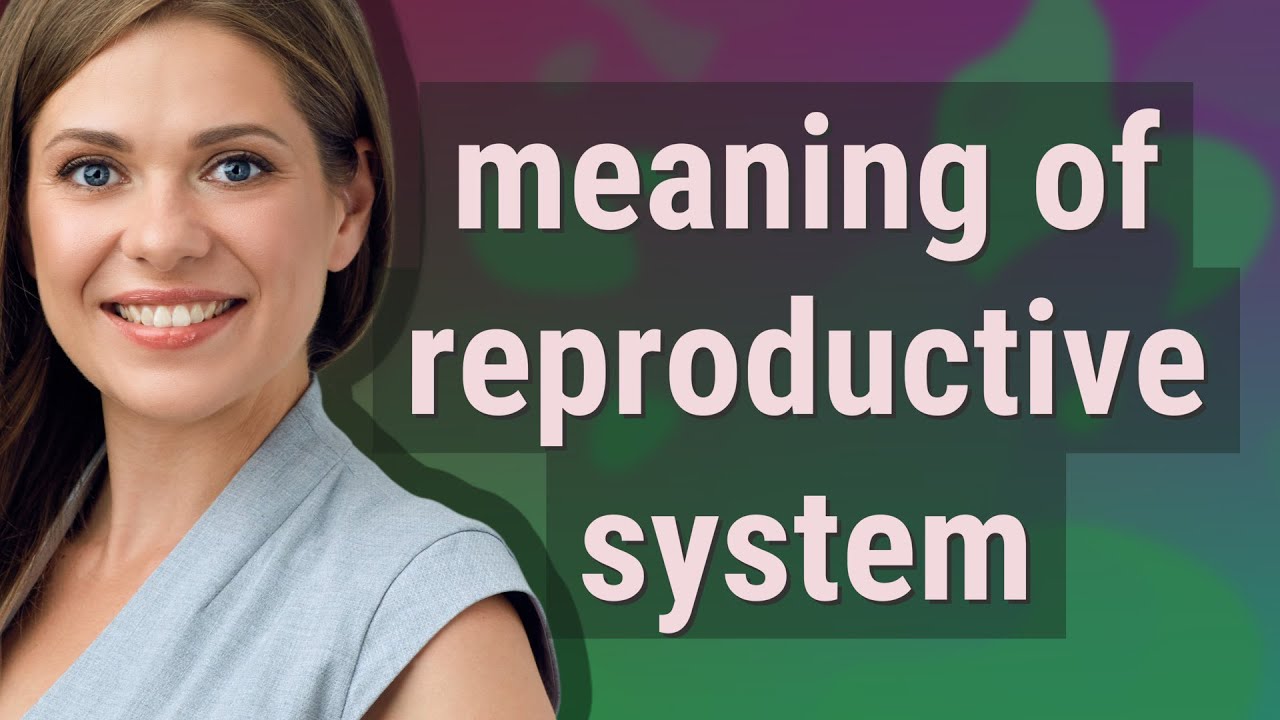 Reproductive system | meaning of Reproductive system - YouTube
