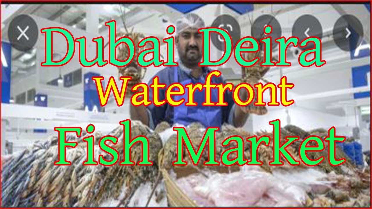 dubai Cut fish is very good fish rafi vlogger - YouTube
