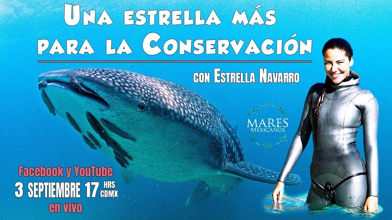 Una Estrella Más para la Conservación con Estrella Navarro - YouTube