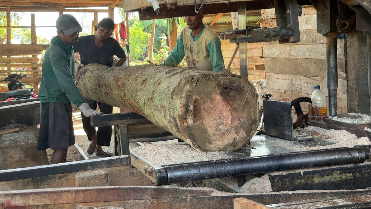 Quality Control in Sawing Wood for Outstanding Home Materials - YouTube