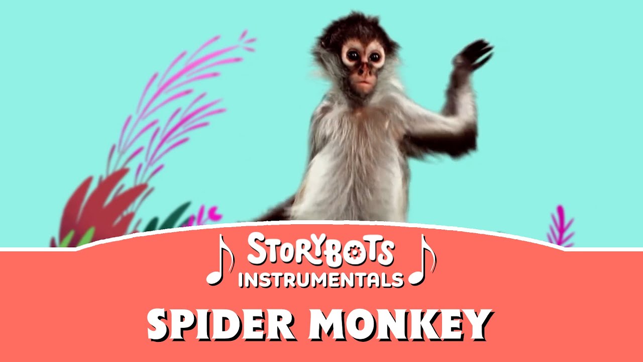 Spider Monkey (Instrumental) | StoryBots - YouTube