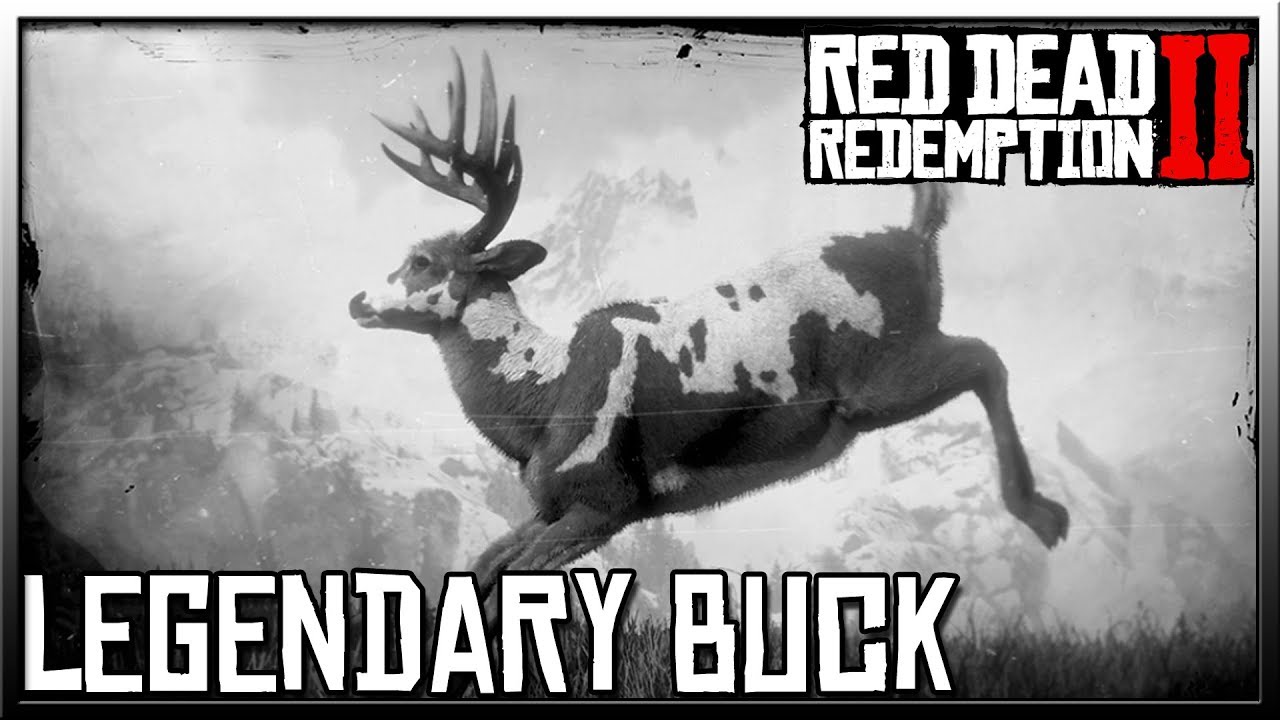 Red Dead Redemption 2 Legendary Buck with Location - Red Dead 2 Hunting ...