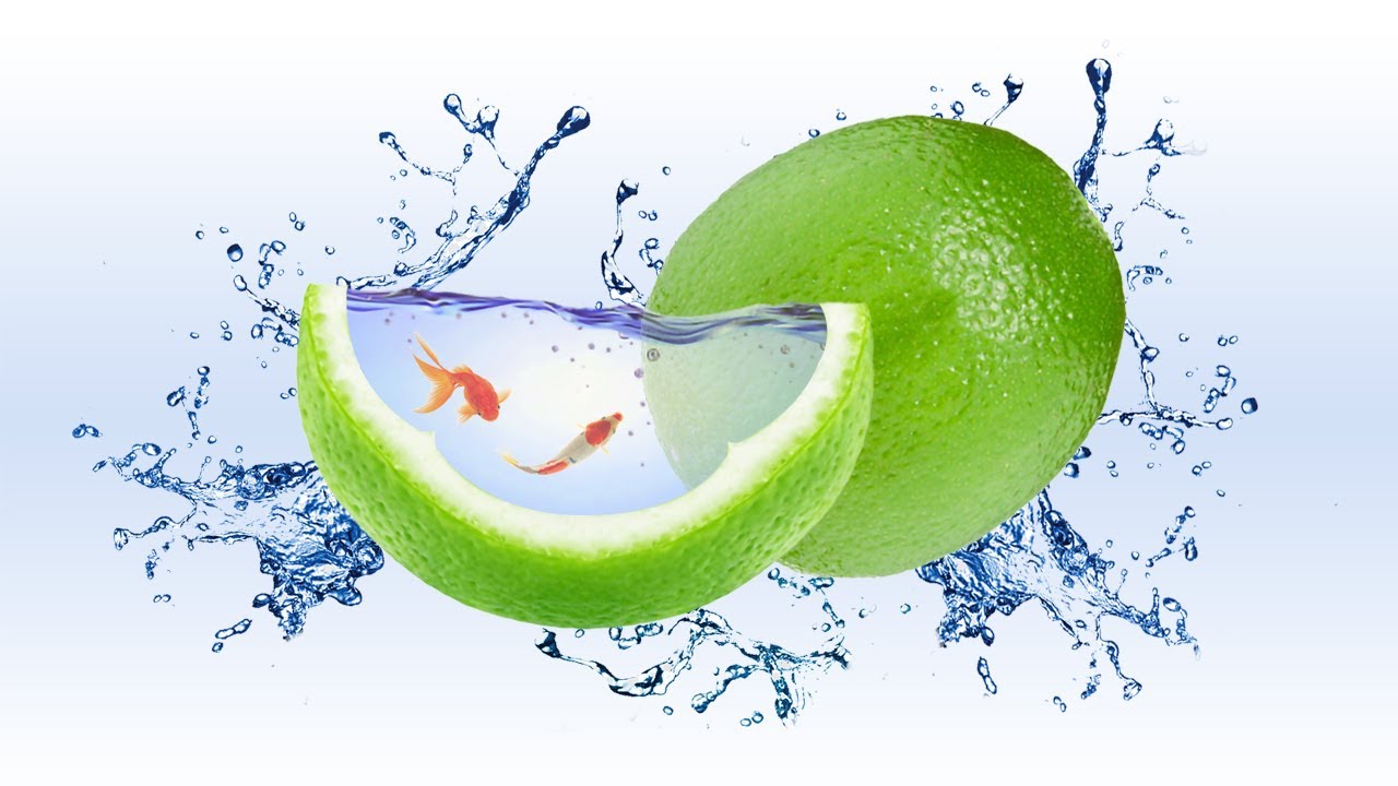 Water Lemon and Fish Manipulation Photoshop Tutorial | Photo ...