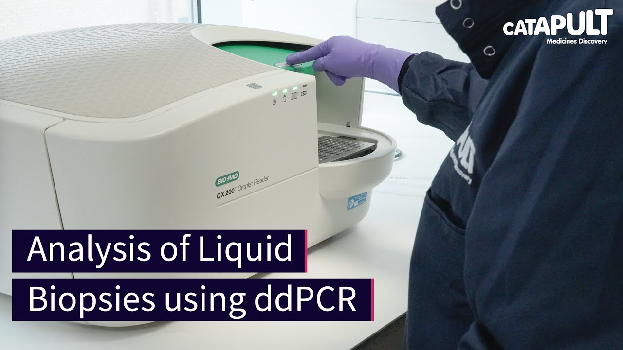 Analysis of Liquid Biopsies using ddPCR - YouTube