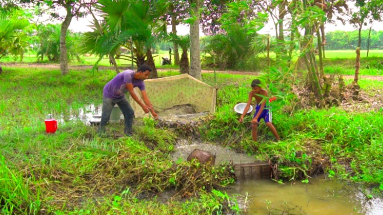 Best Fishing Video | Asian Traditional Fishing with Beautiful Nature ...