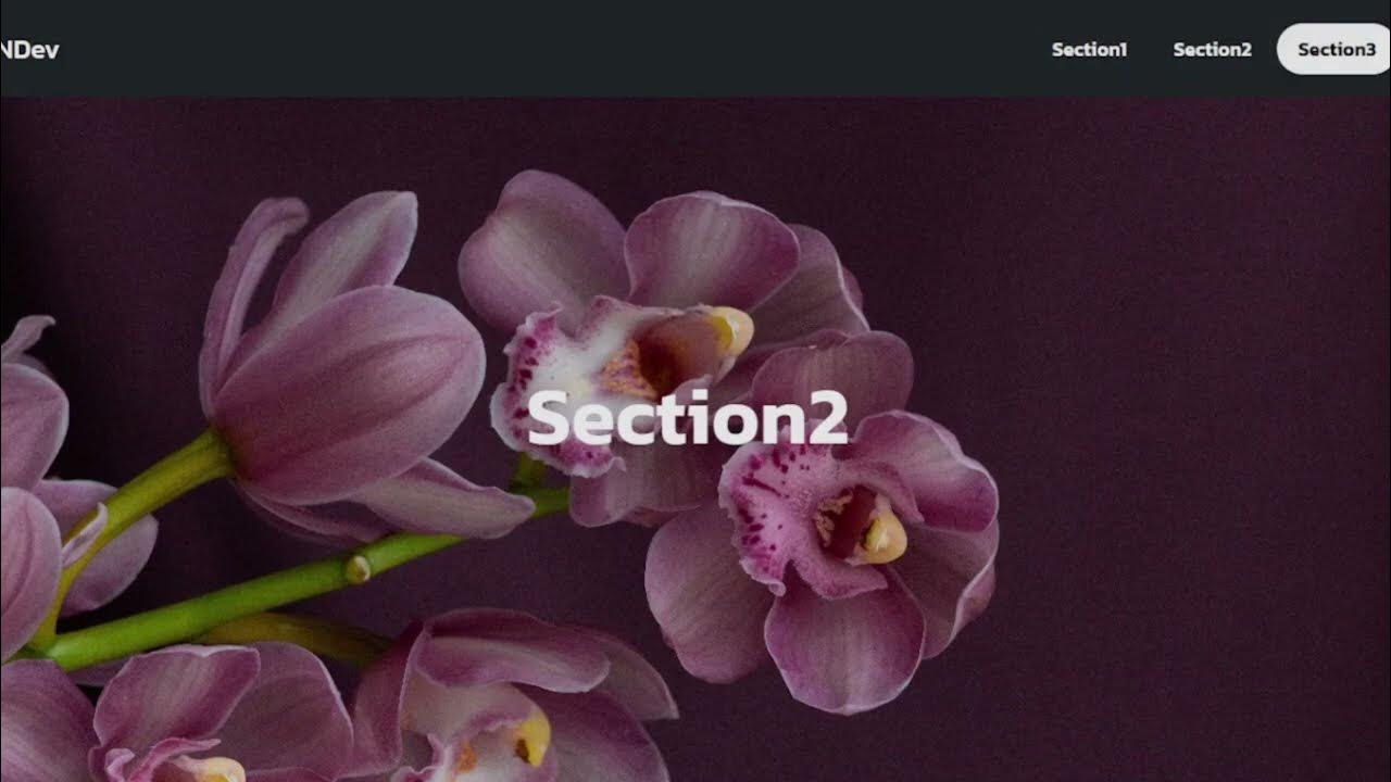 Background Fixed | HTML AND CSS - YouTube