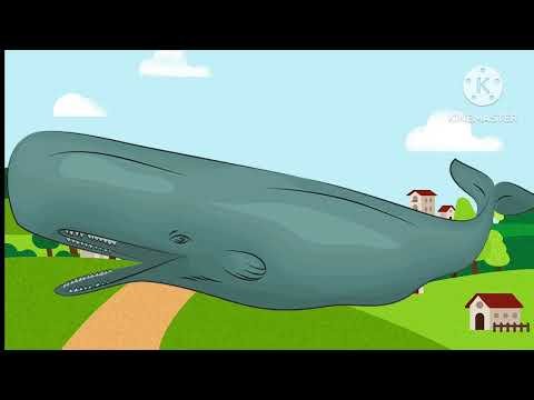 lock sperm whale really fos funny not mdq