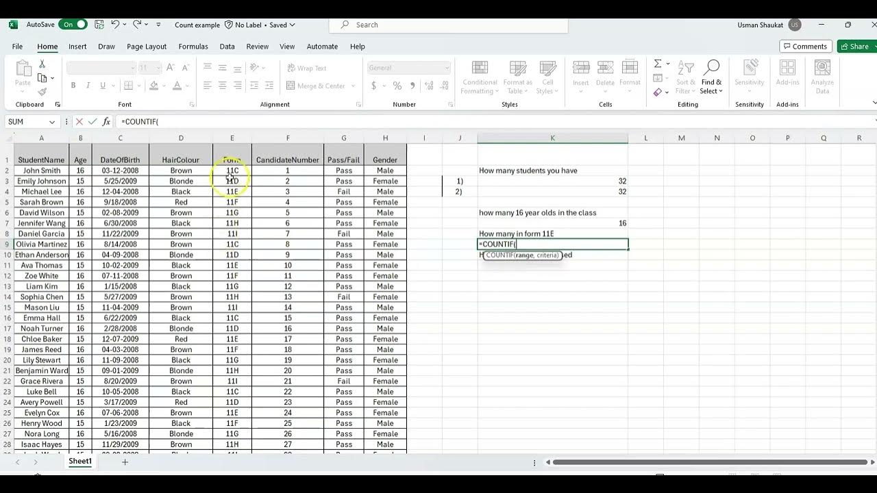 Year 9 ICT - IGCSE EXCEL Count lesson task 3 - YouTube