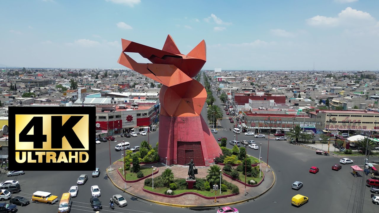 Coyote Hambriento (4K UHD) Nezahualcóyotl Edo. Mex. - YouTube