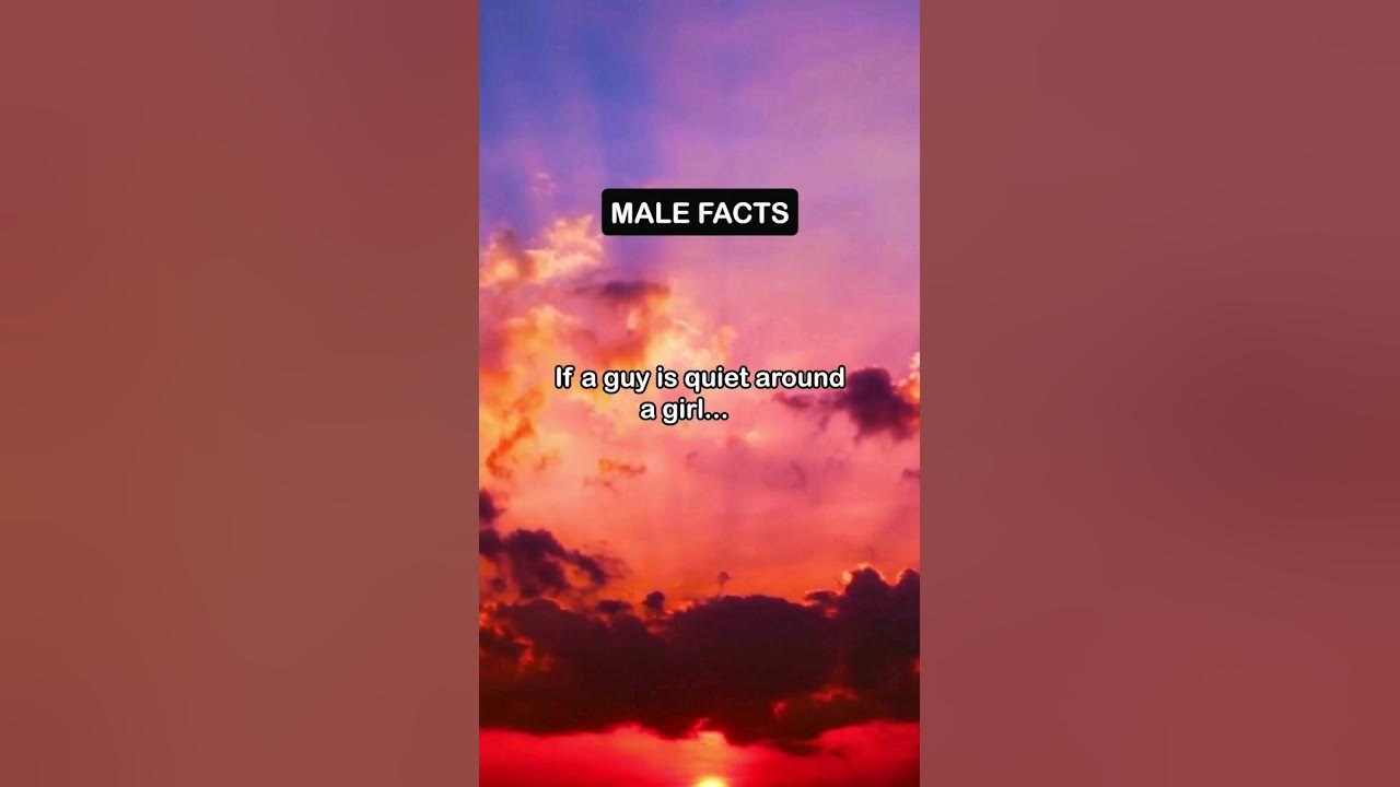If A Guy Is Quiet Around A Girl shorts malefacts YouTube if-a-guy-is-quiet-around-a-girl-shorts-malefacts-youtube