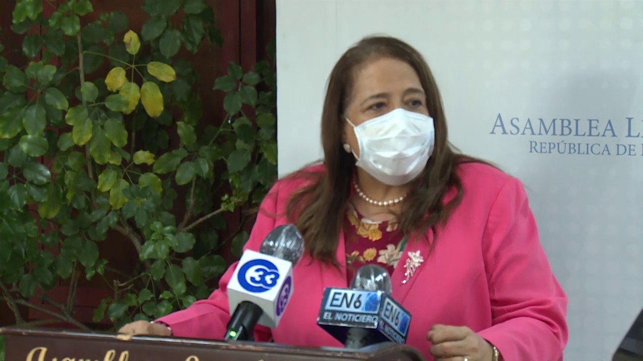 Diputada Nidia Díaz en conferencia de prensa sobre temas que serán ...