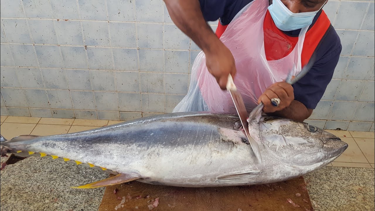 Giant Tuna $200 20 KG Fish Slice। Fast Way of Big Tuna Fish Slice by ...