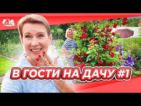 Едем на дачу выпуск №1 | Розовый сад Ларисы 6 соток в Подмосковье