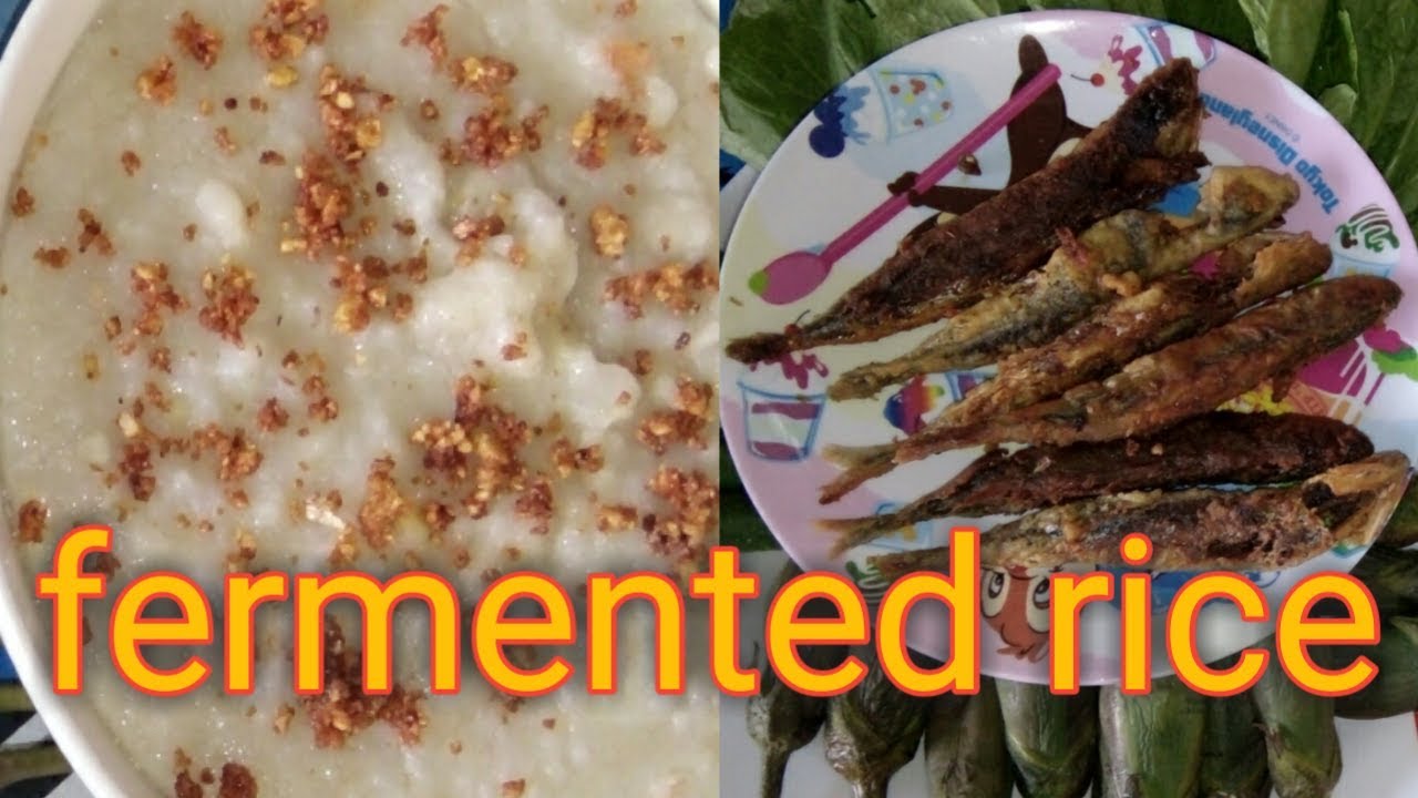 How to cook fermented rice (buro ng mga kapampangan) Star ng fiesta ng ...