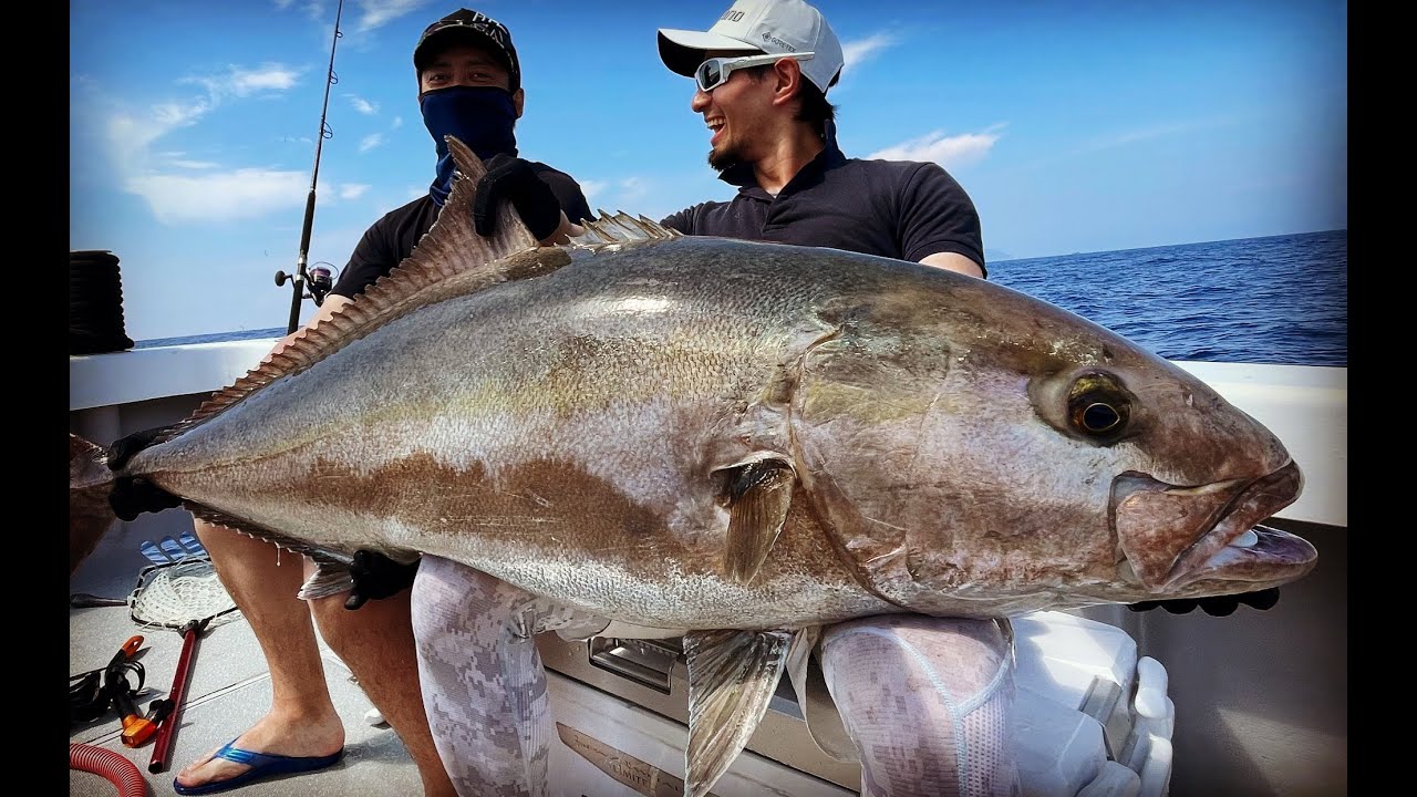 Danjo Islands Amberjack Fishing - YouTube