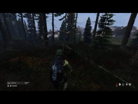 DayZ Lar shot - YouTube