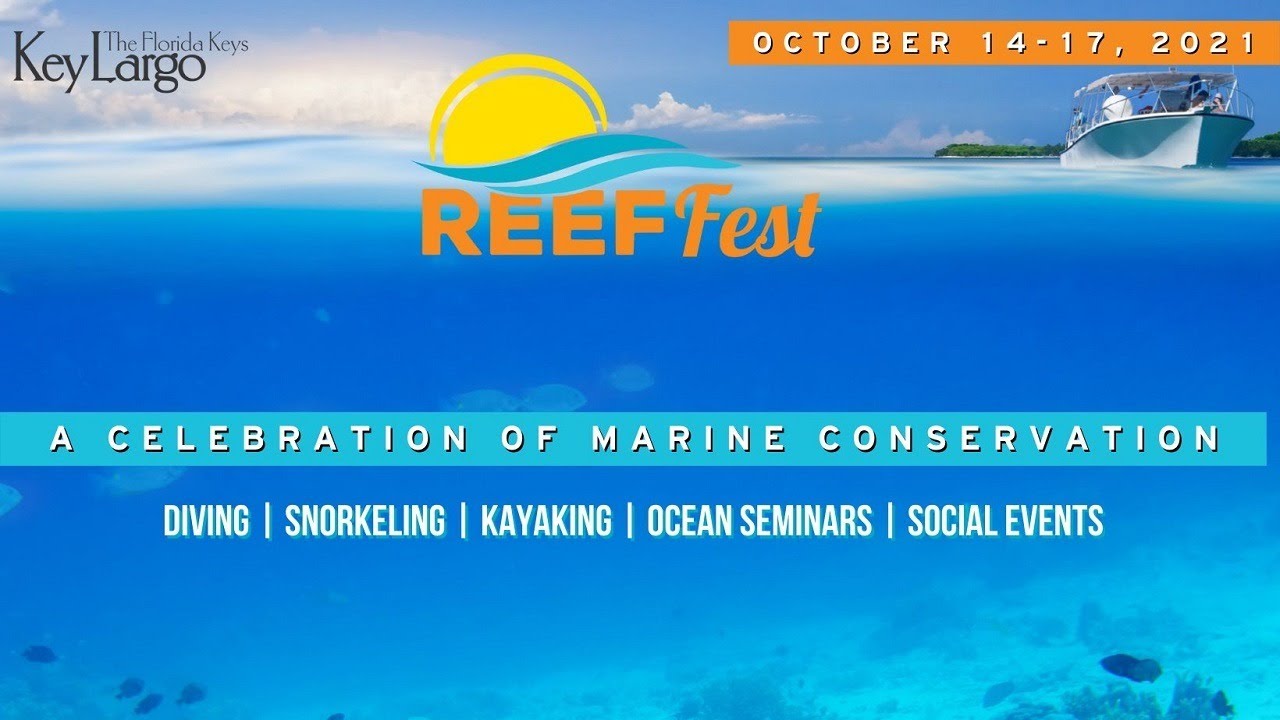 REEF Fest 2021 Seminars Day 2 - YouTube