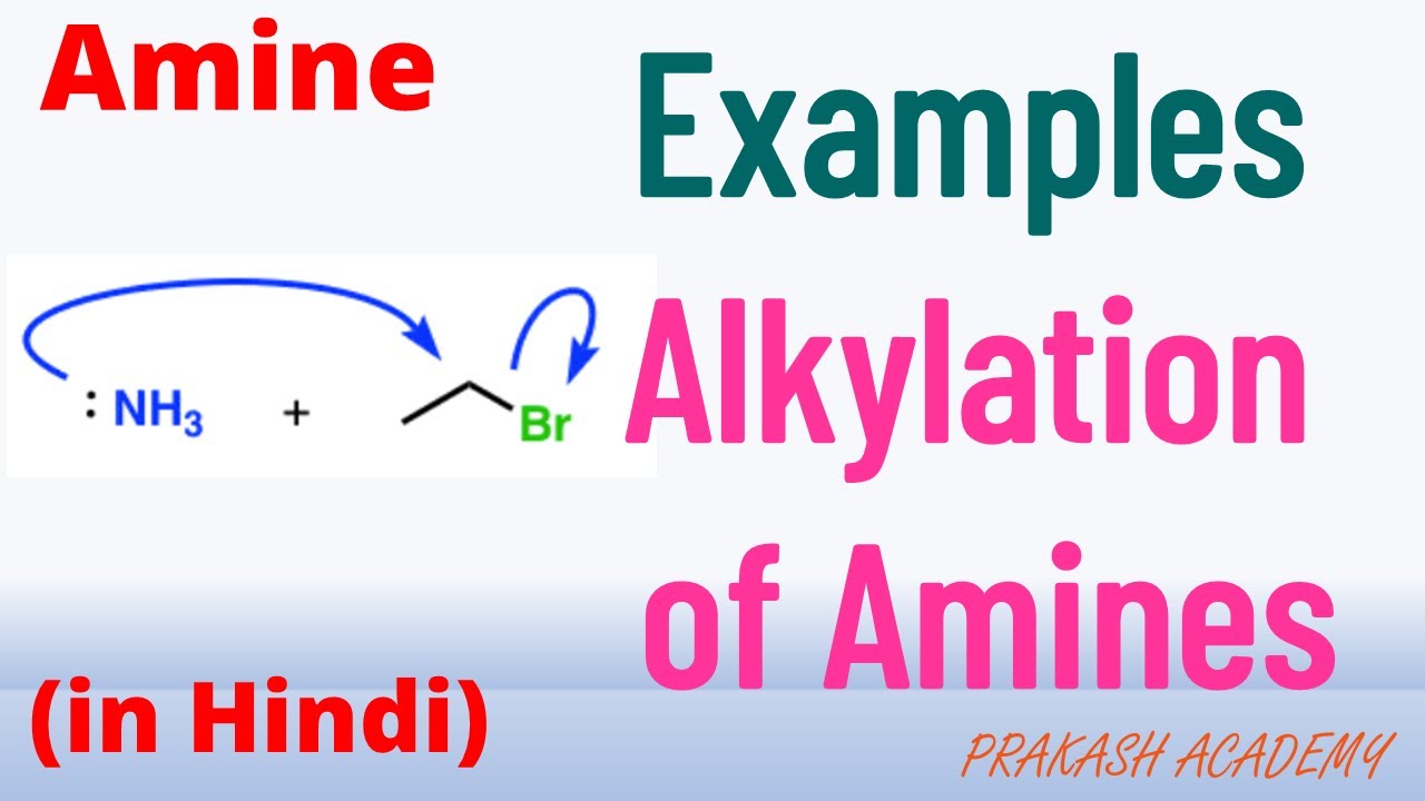 Amines 17 I Examples I Alkylation ofAmines I Exhaustive Methyltion I ...