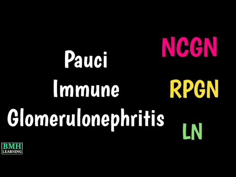 Pauci-Immune Necrotizing & Crescentic Glomerulonephritis | NCGN | Pauci ...