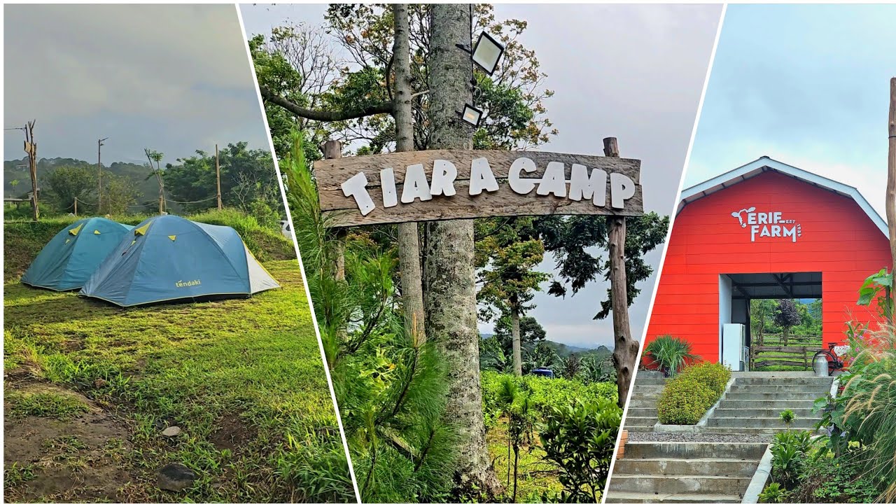 TIARA CAMP | Kavling Salak | Citeko, Puncak Bogor | - YouTube