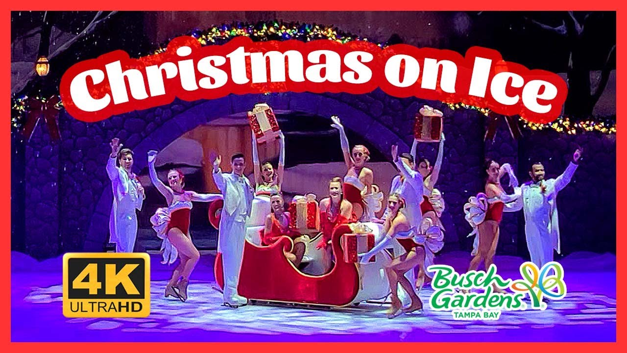 Christmas on Ice Busch Gardens Tampa Bay FL | Christmas Town | 4K - YouTube