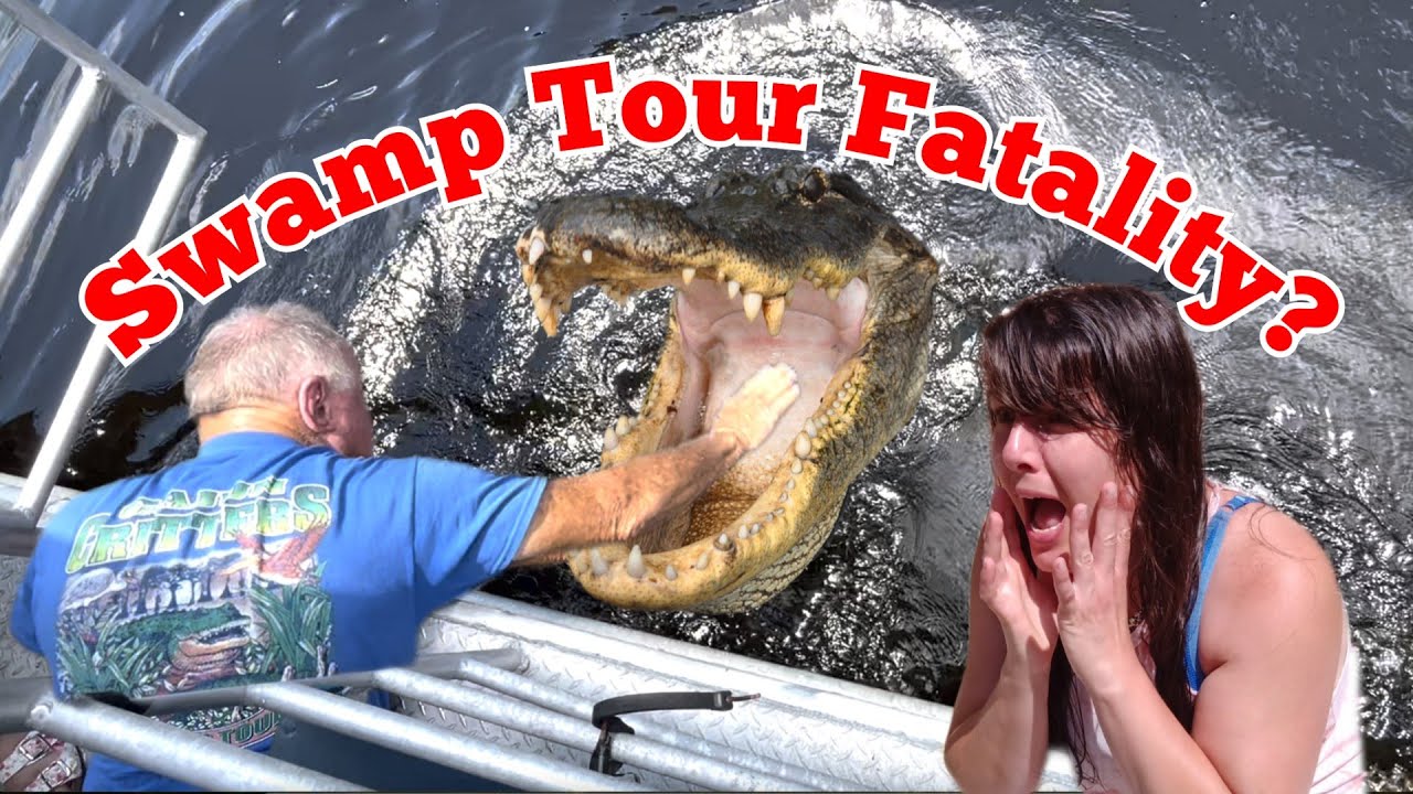 Ultimate Swamp Adventures for Alligators in New Orleans Louisiana - YouTube