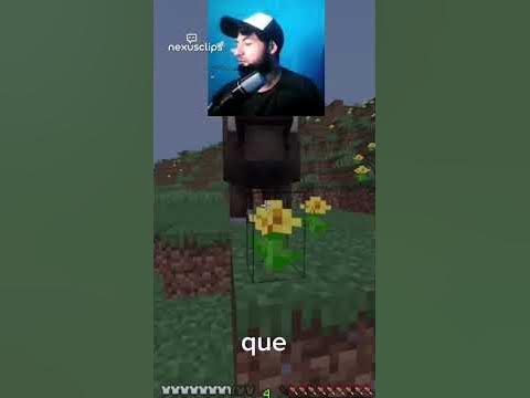 No te fies de un bisonte #minecraft #gameplay #viral #foryou #shorts # ...