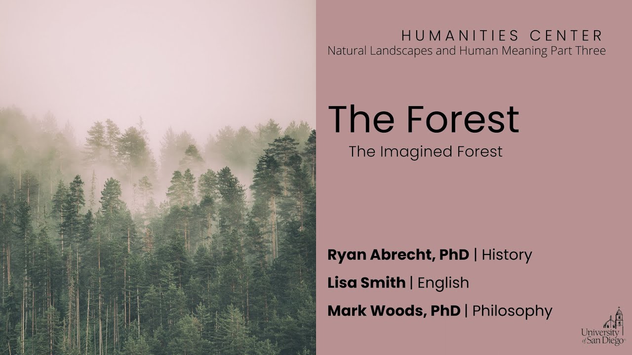 Natural Landscapes and Human Meaning - The Forest // The Imagined ...