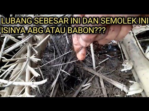 Lubang Sebesar ini dan Semolek ini Isinya ABG Atau Babon???||Spesial UploadPertamadiTahunBaru  2021