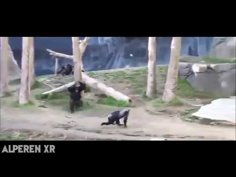 hobb ss aldım aD:DSD:FsdF amk cocu kacma gellan buraya Q:WeqWEqEQ:wE amdinleri etıketleyın beler