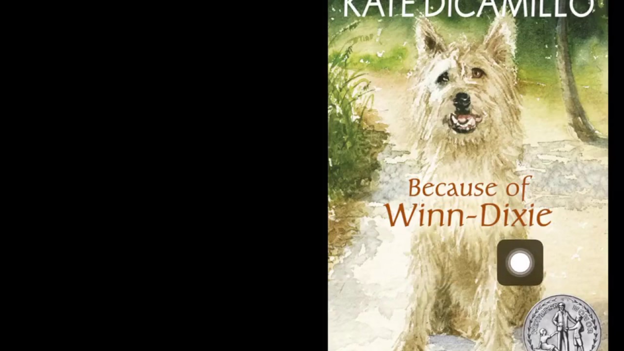 Chapter 1 / Because of Winn-Dixie - YouTube