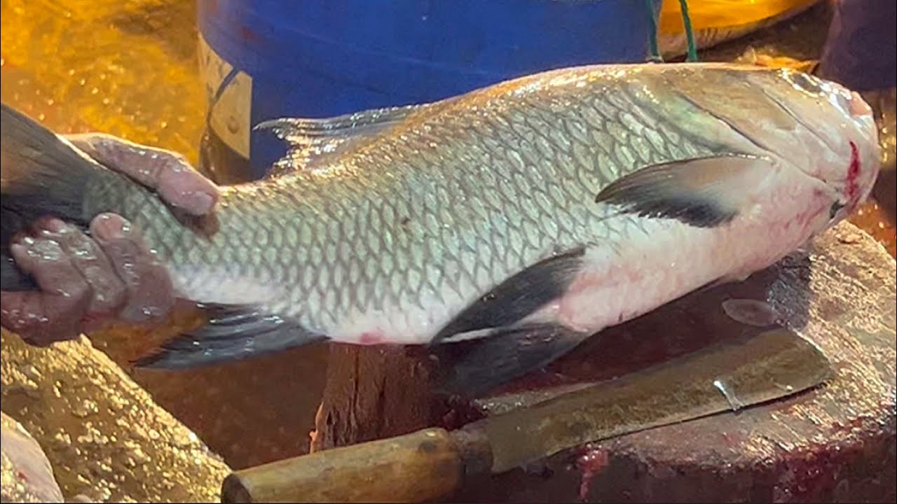 Incredible Big Katla Fish Cutting In Fish Market | Amazing Fish Cutting ...