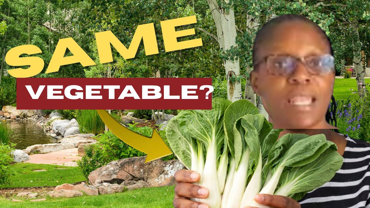 “Pop Choy in Jamaica | Bok Choy in Florida — Same Vegetable, Different ...