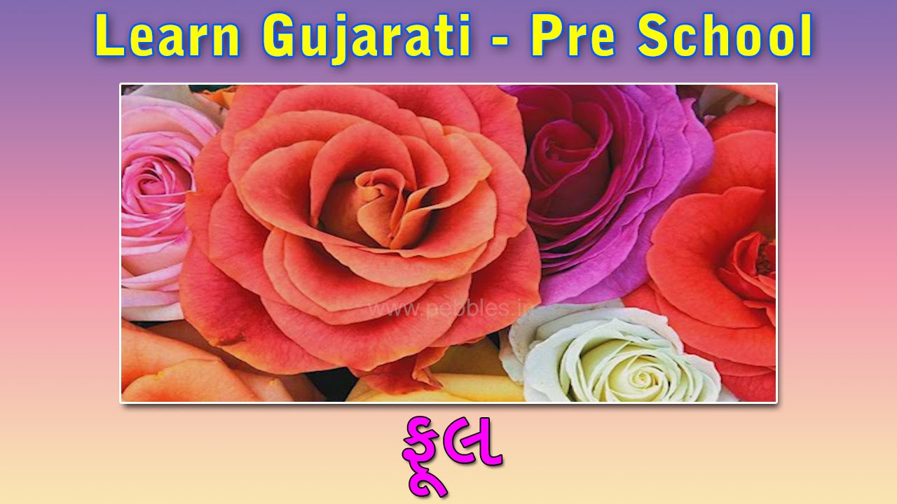 Flowers In Gujarati Learn Gujarati For Kids Gujarati Grammar Flowers In Gujarati Learn Gujarati For Kids Gujarati Grammar
