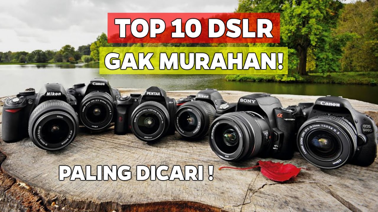 10 REKOMENDASI KAMERA DSLR TERBAIK 2022 BUAT PEMULA DAN PRO AUTO BOKEH - YouTube