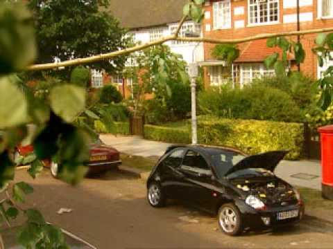 Ford Sportka Pigeon Commercial - YouTube