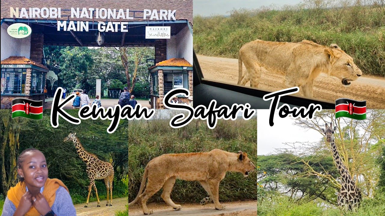NAIROBI NATIONAL PARK | A KENYAN SAFARI VLOG 🇰🇪 - YouTube