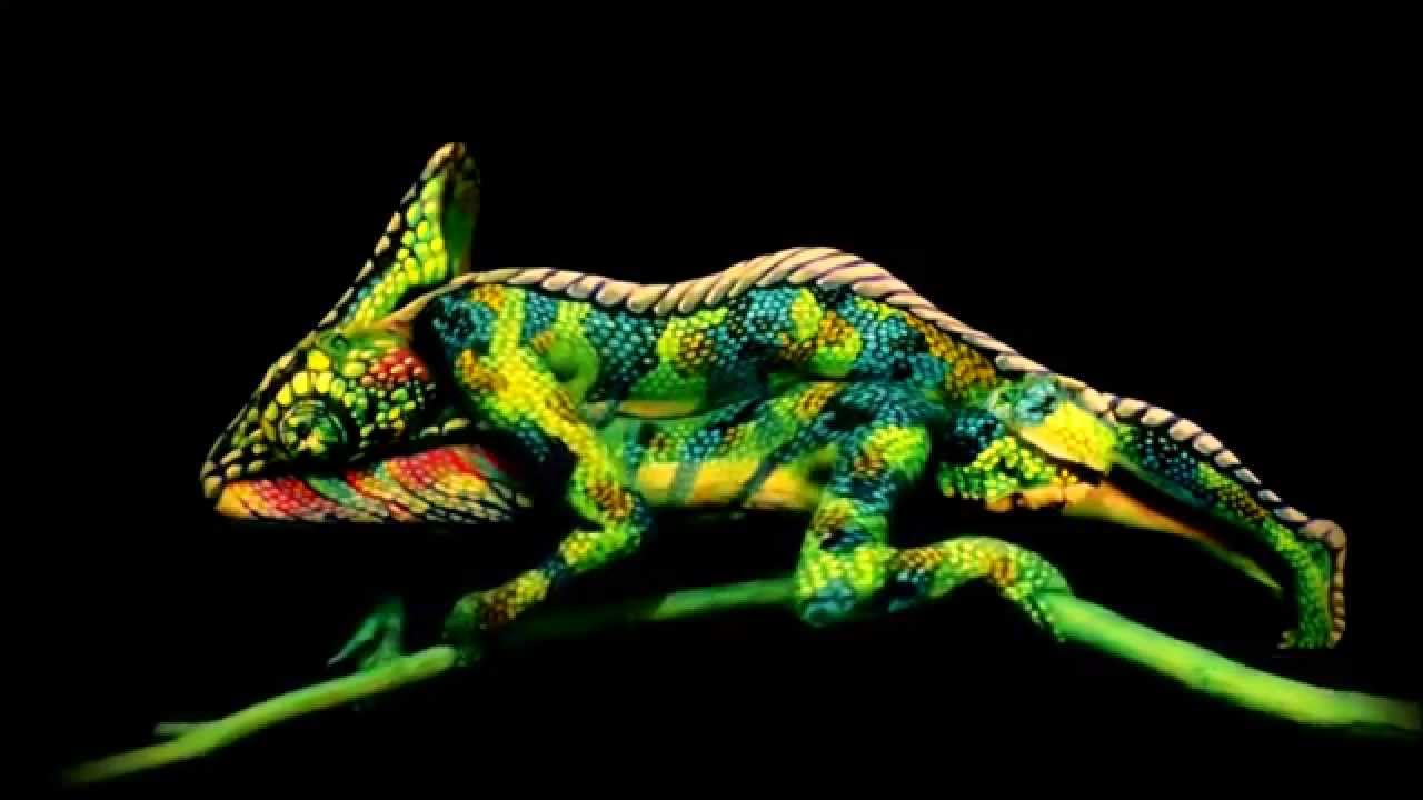 Amazing !!! -----Chameleon ? - YouTube