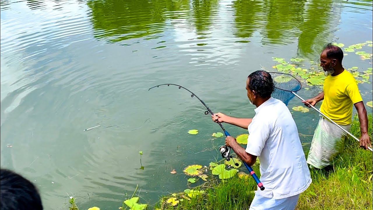 fishing hook big fish | Big Fish Catching Video - YouTube