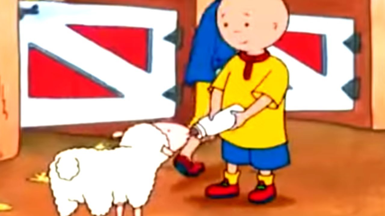 Caillou Had a Little Lamb | Caillou Cartoon | Learning For Kids - YouTube