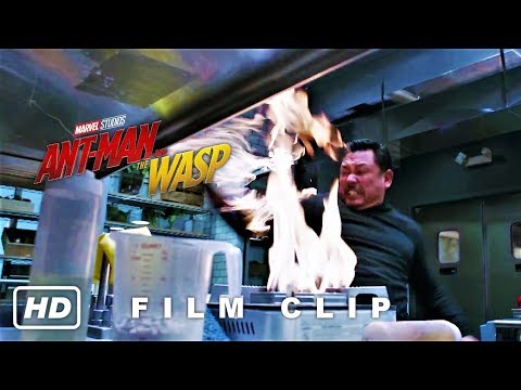 Ant-Man and The Wasp - Wings And Blasters (Kitchen Fight Scene Movie Clip)