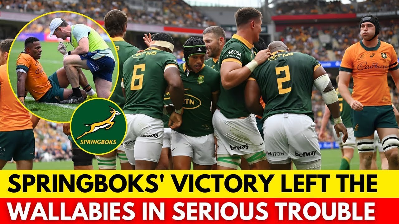 🚨SPRINGBOKS' DOMINATION OVER WALLABIES CAME WITH DEVASTATING ...