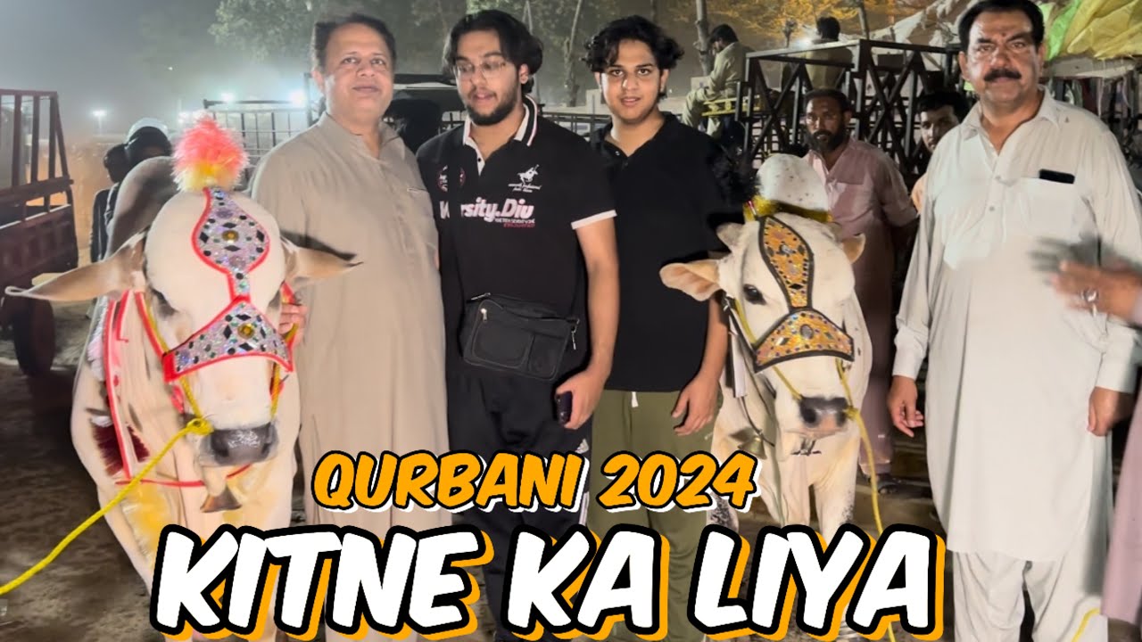 Kitne Ka liya l qurbani 2024 I shahpur kanjra Mandi Lahore Pakistan - YouTube