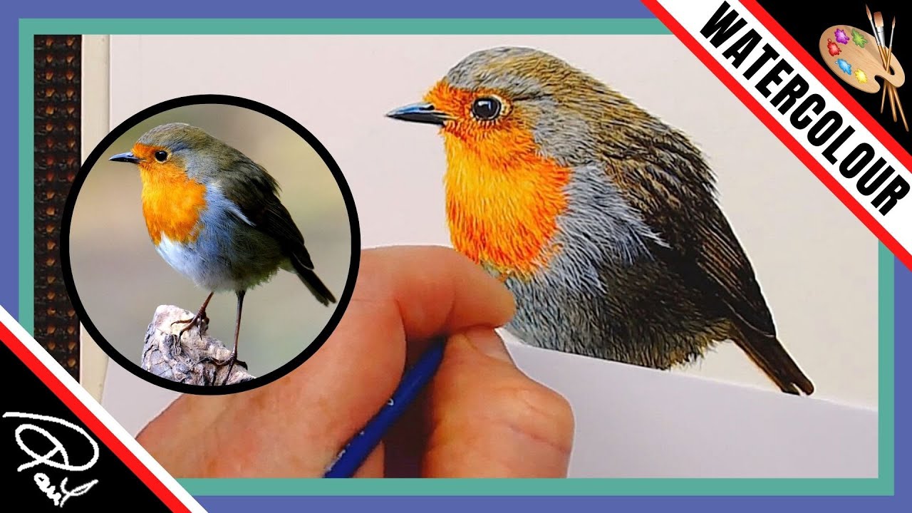 How to Paint Realistic Bird Feathers in Watercolor (Robin Painting ...