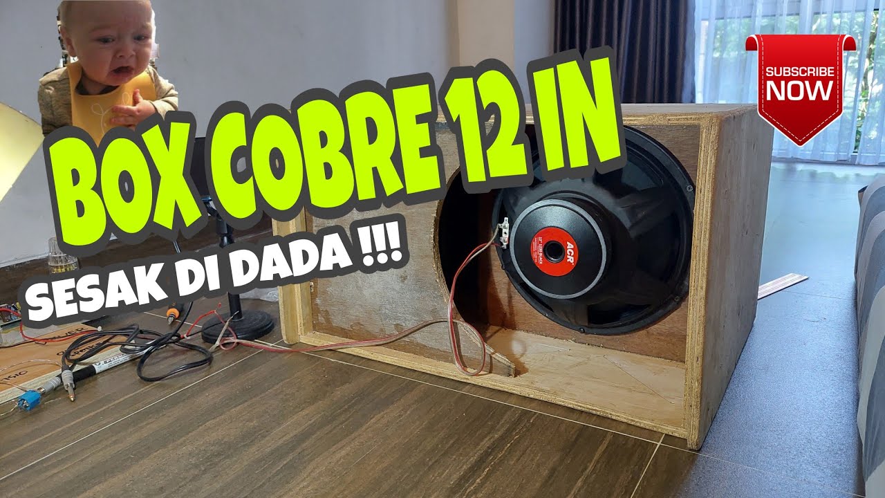 🟣Box cobre 12 in brewog audio - YouTube