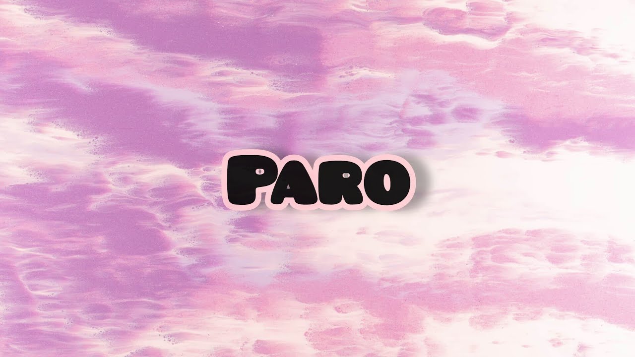 Paro song lyrics #song #video - YouTube