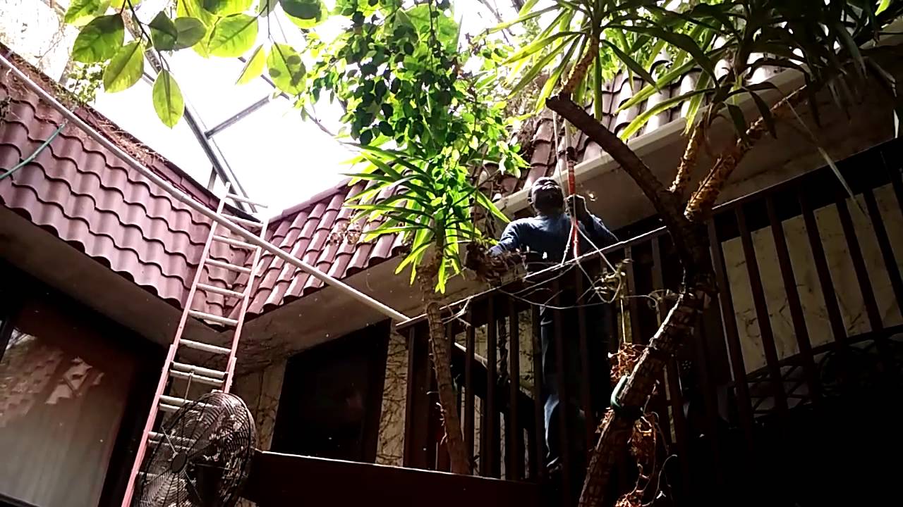Canopy Work at the solarium(5) - YouTube