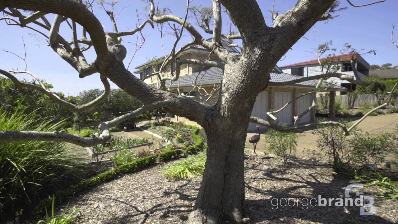 50 Tumbi Road, Tumbi Umbi NSW 2261 - YouTube