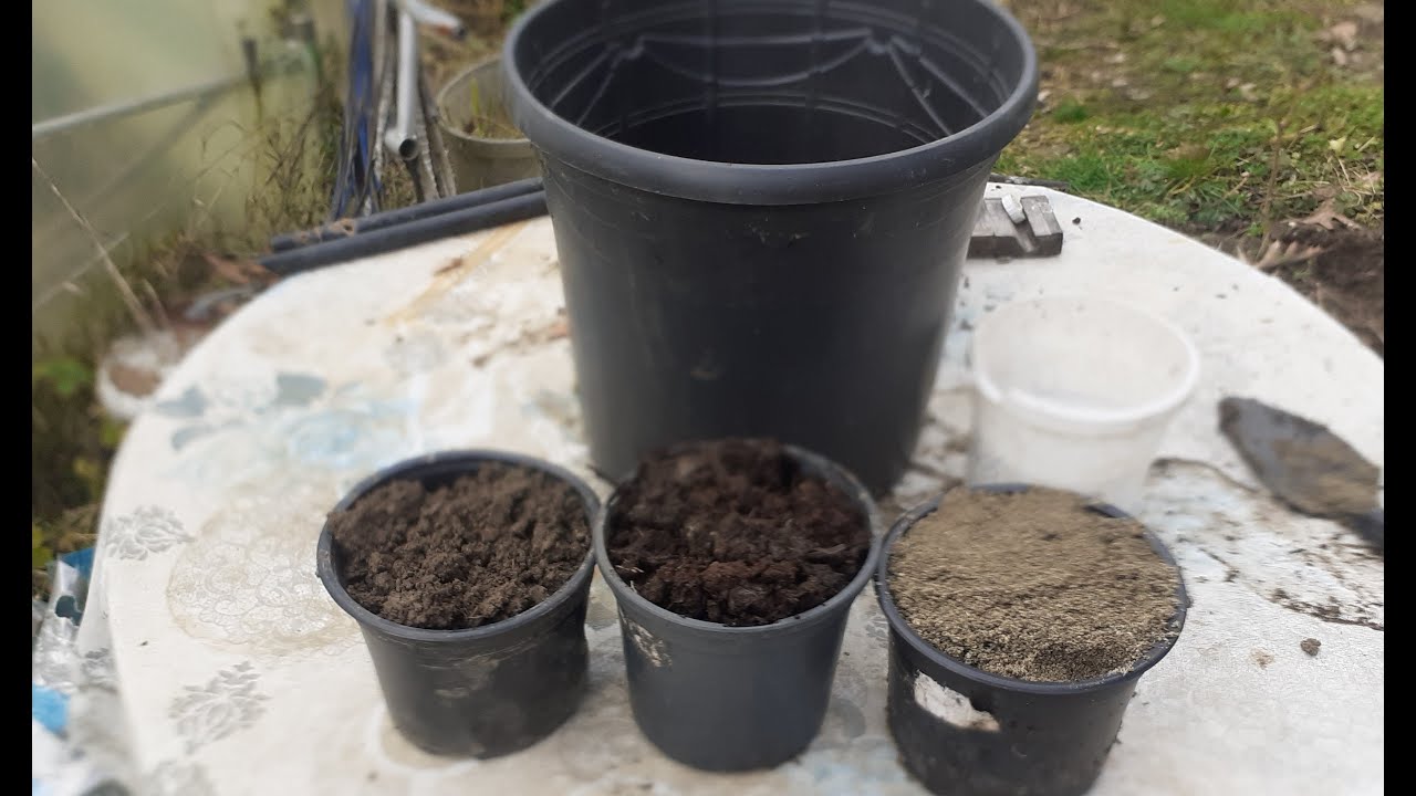 Kako napraviti najbolji supstrat za sjetvu rasada - YouTube