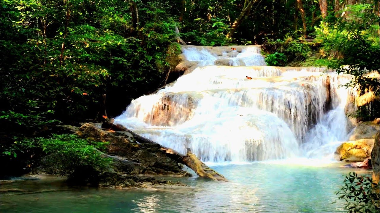 Relaxing Zen Music with Water Sounds | Peaceful Ambience for Spa, Yoga ...